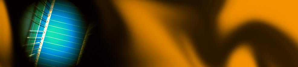 SiC Quadrant Diodes (UV) - PSD